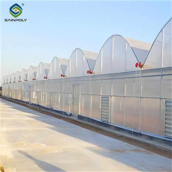 Quality Commercial Intelligent Greenhouse Continuous Skeleton Vegetable Greenhouse for sale