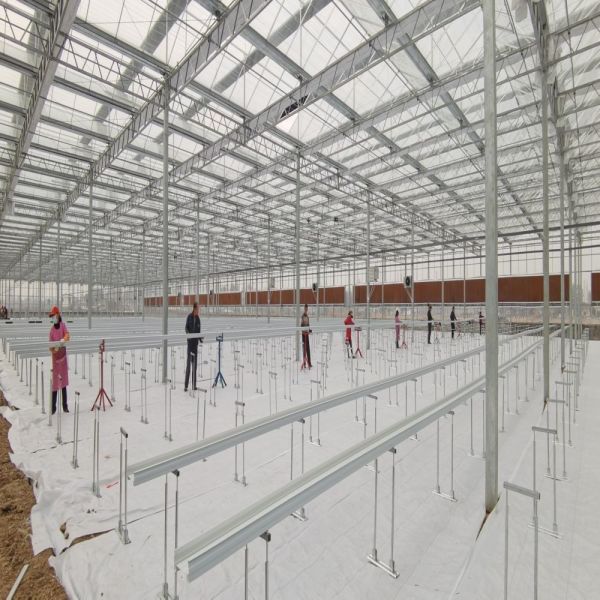 Quality 5000kg Mobile Guard Gutter Rolling Machine For Tile Forming for sale