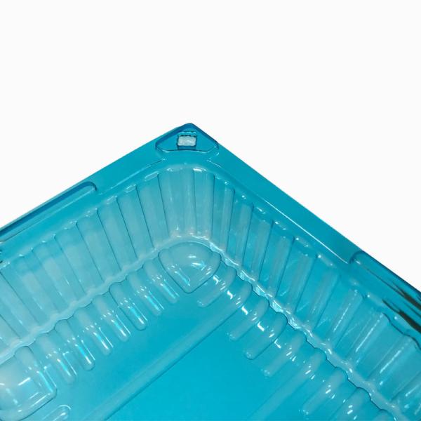 Quality 36 Years Experience Blue PET Plastic Container Clamshell Blister Packaging for for sale