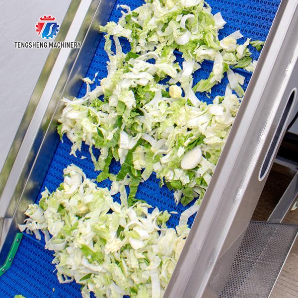 Quality Supermarket Fruit And Vegetable Processing Line Cutting Lifting Washing for sale