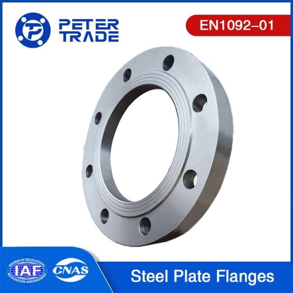Quality European Standard EN1092-01 Carbon Steel/Stainless Steel Plate Flange PN16 PLFF PLRF Flat Face/Raised Face for sale