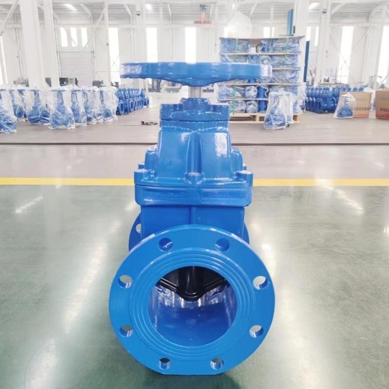 DN300 Rising Resilient Seated Gate Valve GGG50 Ductile Iron Valves from ...