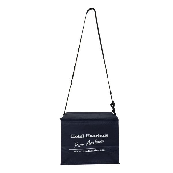 Quality Non Woven 20x15x18cm CMKY OEM 80gsm Insulated Cooler Bag for sale