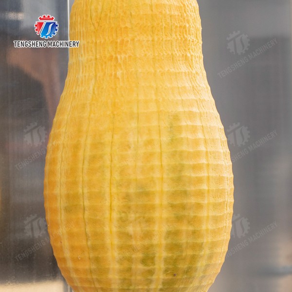 Quality papaya chieh-qua pumpkin wax gourd pineapple Vegetable Vertical double cutter for sale