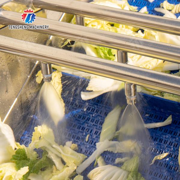Quality Bubble washing vibration air drying production line Orange Vegetable Herbs Fruit for sale