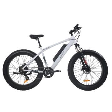 48V Electric Assist Fat Bike Intelligent Controller Mechanical Disc Brakes