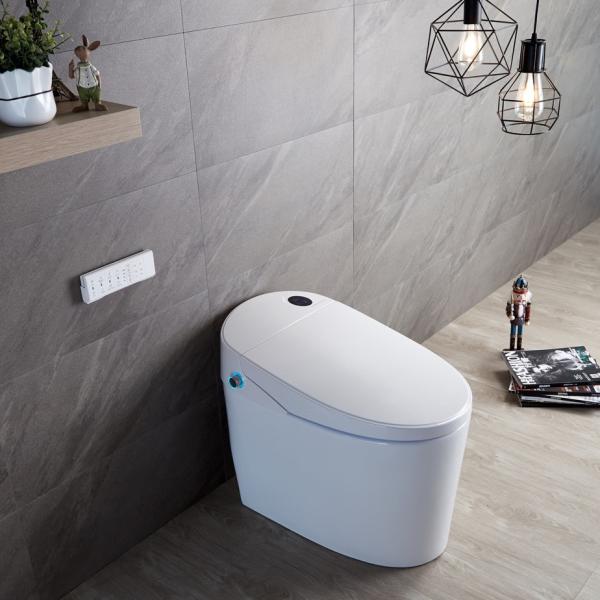 Quality Experience Ultimate Comfort with Modern Design Eco Smart Automatic Intelligent Toilet Heated Seat and Warm Air Dryer for sale