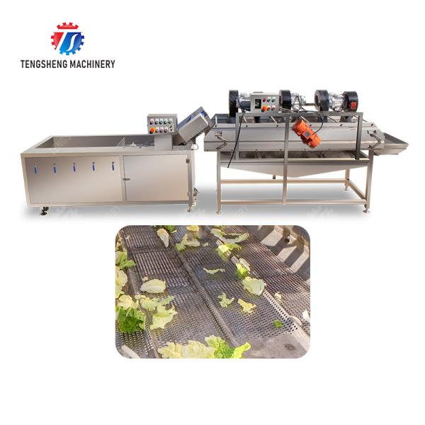 Quality Bubble washing vibration air drying production line Orange Vegetable Herbs Fruit for sale