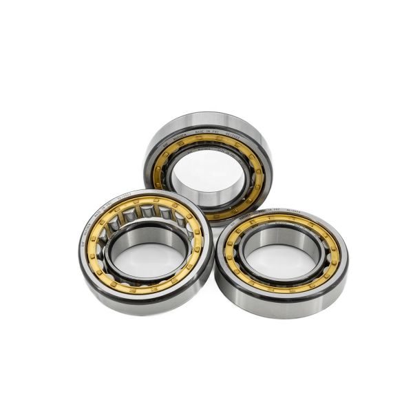 Quality Building Material Shops NU/NJ/NF306EM Cylindrical Roller Bearing with High Precision for sale