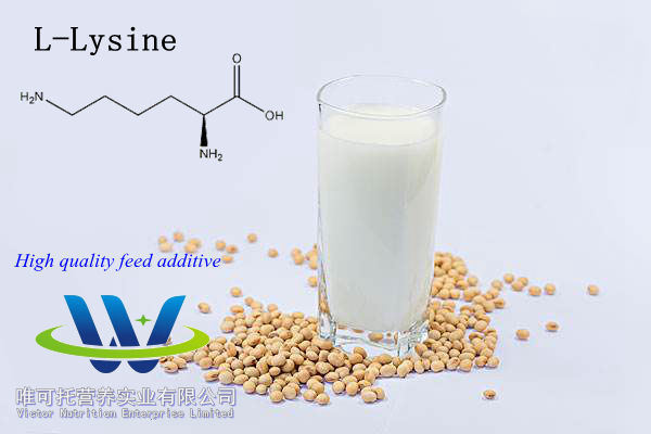 Hot Sale High Quality L-Lysine HCl