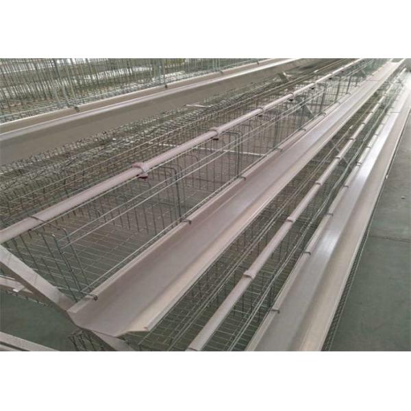 Quality 4 Tier 5 Doors Layer Chicken Cage 2300mm Width Poultry Layer Cage for sale