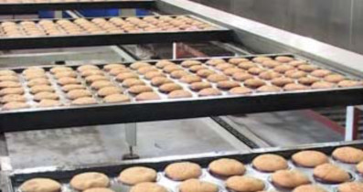 Quality Full Automatic Custard Pie Cake Production Line, Cup Cake Production Machine, for sale