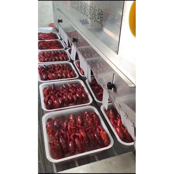 Quality DJL Liquid Nitrogen Cooling Tunnel Freezing Equipment For High Quality for sale