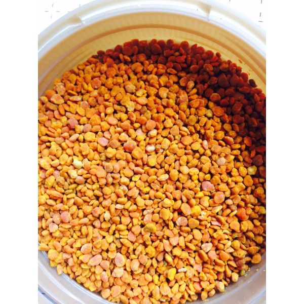 Quality Big Granual Natural Bee Pollen for sale