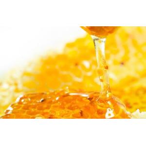 Quality Stainless Steel Honey Press Machine , Easy Operate Commercial Honey Extractor for sale