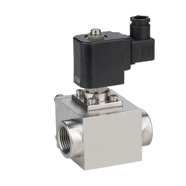 Quality SS304 High Pressure Solenoid Valve with Nass Coil 1.6MPA G1/4