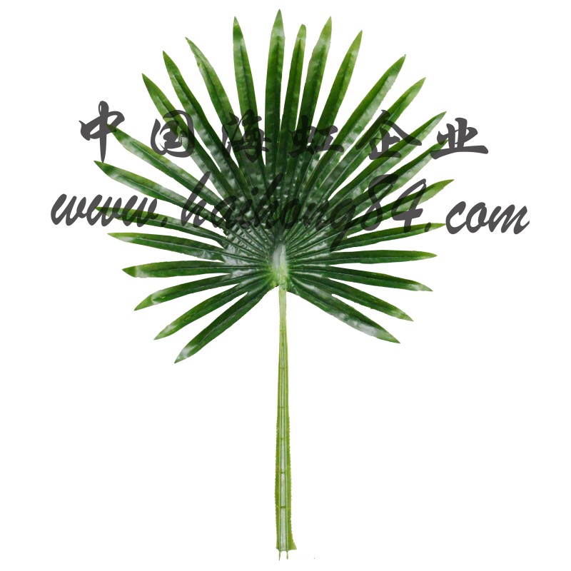 Small Palm Trees