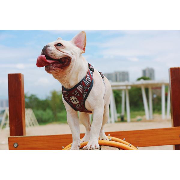 Quality Extra Small Dog Walking Harness Reflective Soft Padded Easy Walk Harness for sale