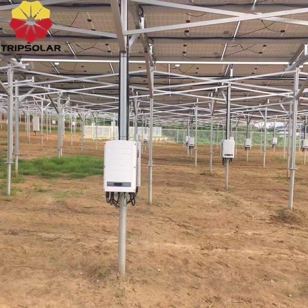 Quality Ground Mounted Solar Module Mounting Structure Snow Load 1.5KN/m2 and Wind Load for sale