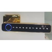 Quality High Security Residential Door Locks Electronic Entry Door Locks for sale