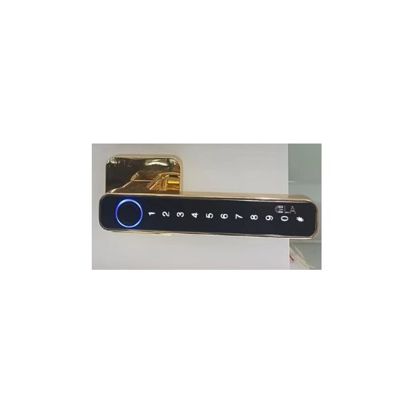 Quality High Security Residential Door Locks Electronic Entry Door Locks for sale