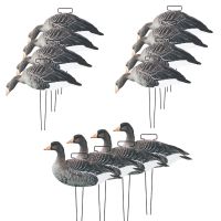 Quality OEM Plastic Lifelike PP Silhouette Specklebelly Goose Decoys Anti Reflective for for sale