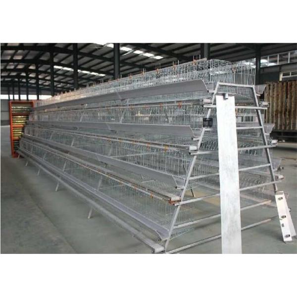 Quality 3/4 Tiers A Type Layer Chicken Cage Q235 Layer Hen Cages With Automatic Drinking for sale