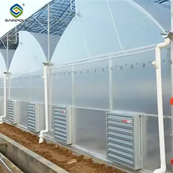 Quality Customization Span Large Commercial Greenhouse With Single PE Layer Frame 4m for sale