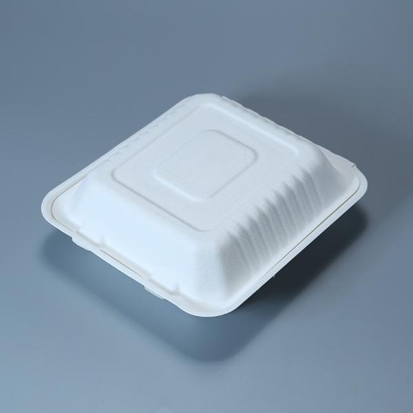 Quality 8in 9in Biodegradable Sugarcane Bagasse Clamshell Freezable Fast Food Container for sale