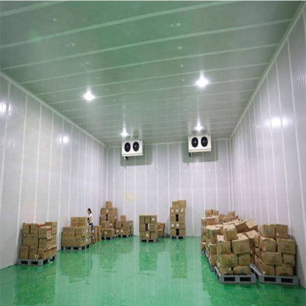 Quality Air Cooler Copeland SS 304 Commercial Walk In Freezer for sale