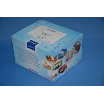 Quality Drug Testing Gentamicin ELISA Test Kit High Recovery Reagent Type 0.02ppb for sale