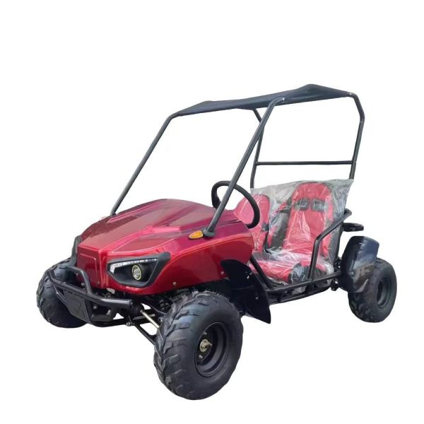 Quality Shaft Transmission 1000W Electric Go Kart 2 Seat 60V Buggy for Teenager for sale