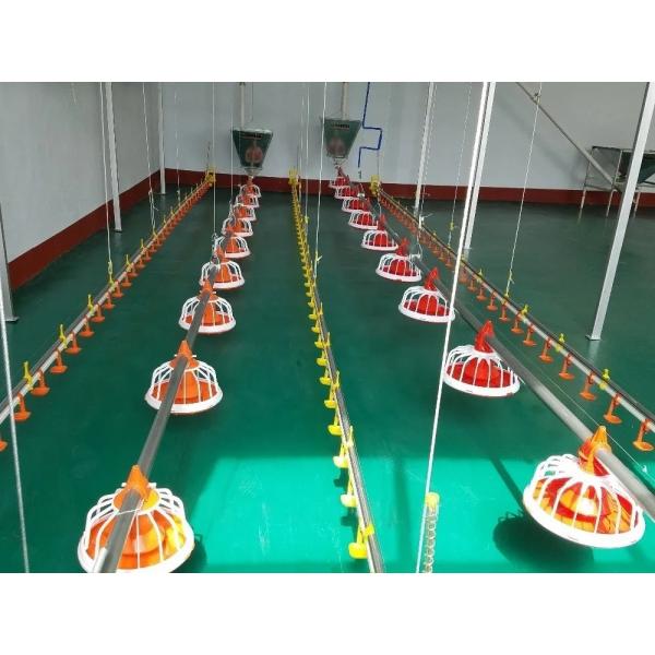 Quality Chicken Coop Automatic Poultry Farm Equipment With Ventilation System for sale
