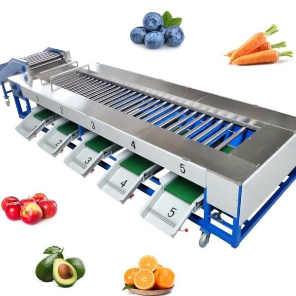 Quality Fruit Weight Selecting Fruit Vegetable Processing Machine For Grading Sorting for sale