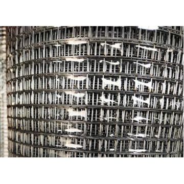Quality 0.5in Galvanized Welded Wire Mesh Rolls 30m Galvanised Wire Mesh Fencing for sale