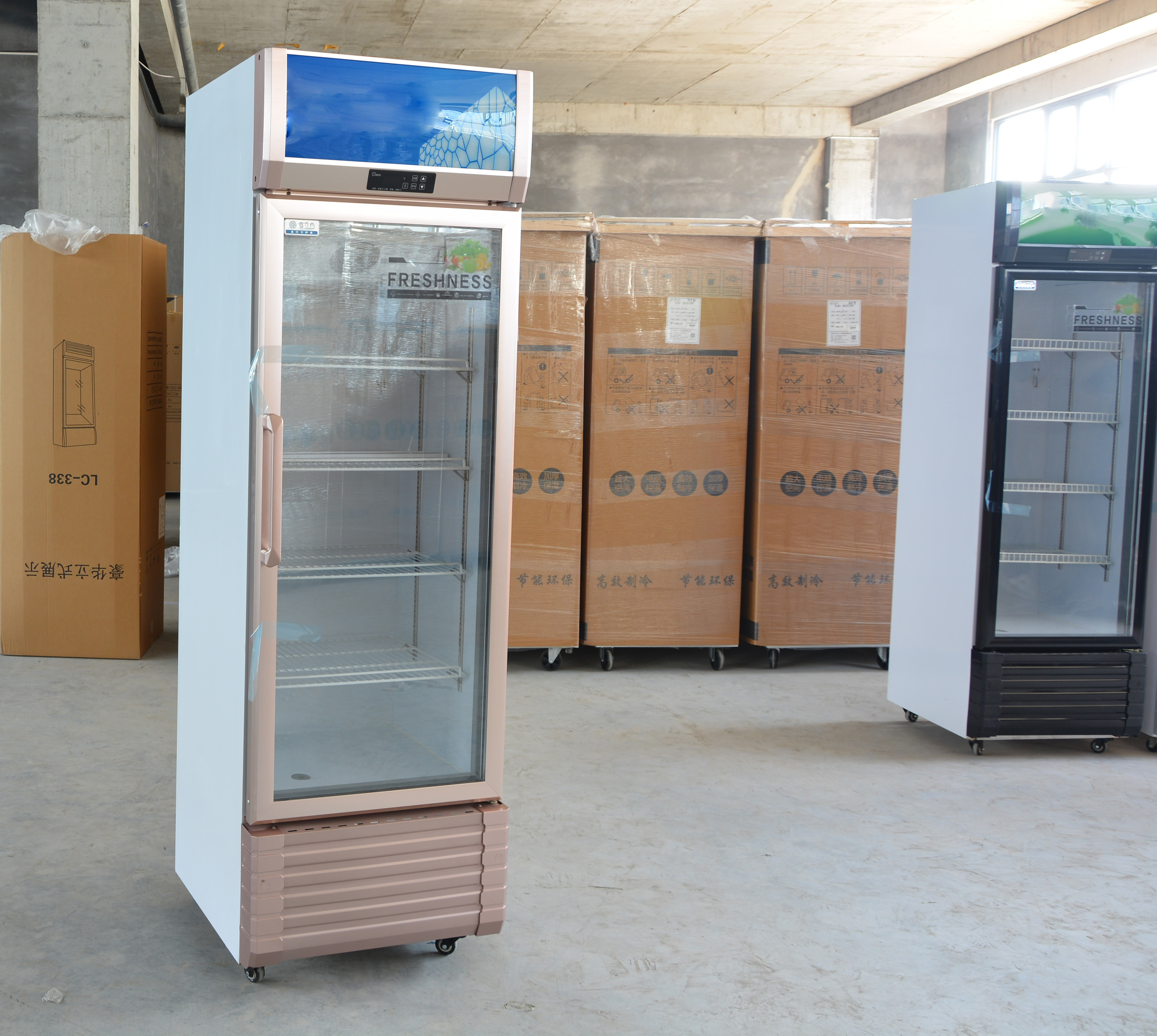 Quality Single-Temperature Vertical 1-Door Showcase Commercial Refrigeration Beverage for sale