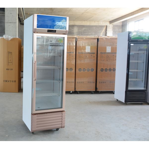 Quality Single-Temperature Vertical 1-Door Showcase Commercial Refrigeration Beverage Cooler for sale