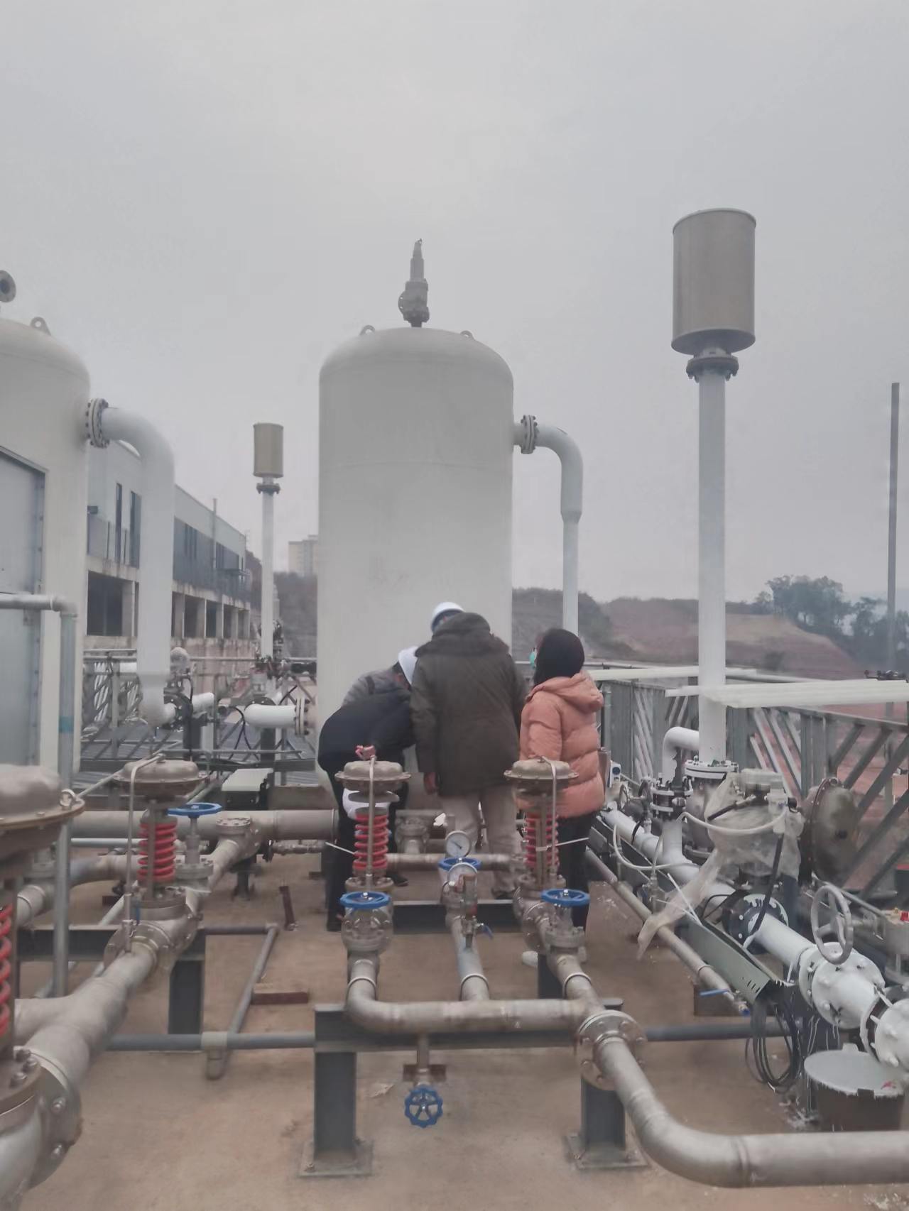 Quality 100-2500 Nm3/h 90%-95% Purity VPSA Oxygen Generator For Glass Manufacturing for sale