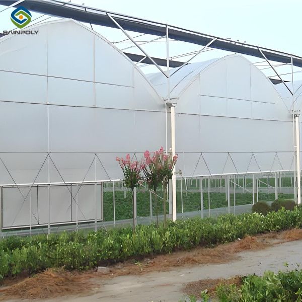 Quality Customizable Multi Span Greenhouse For Tomato Plants Growing for sale