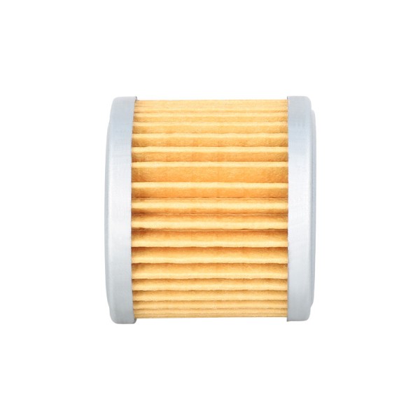 Quality 25mm Engine Fuel Filter Element Replacement C2201 FF5131 for sale