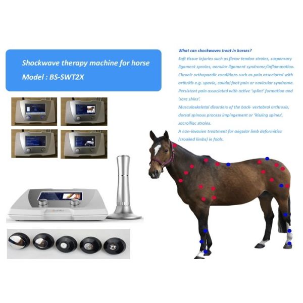 Quality High Pressure Adjustable 1-22Hz Shockwave Machine For Horse Treatment for sale