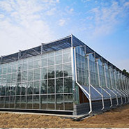 Quality Prefabricated Light Steel Structure Agricultural Vegetable Greenhouse Q235 for sale