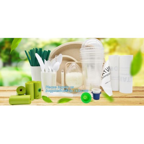 China YANTAI BAGEASE PACKAGING PRODUCTS CO.,LTD. company profile 8