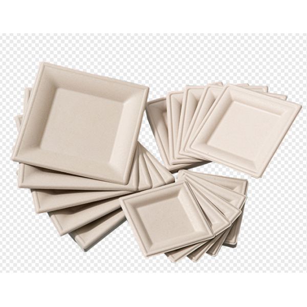 Quality Automatic Biodegradable Bagasse Pulp Molding Equipment / Plate Making Machine for sale