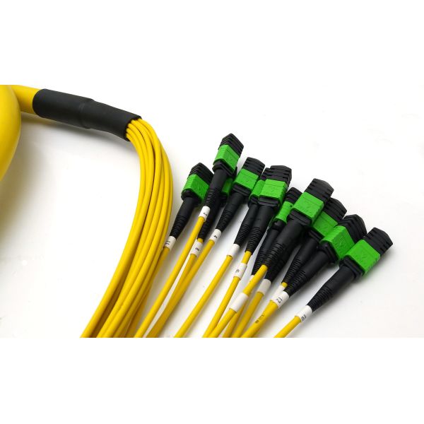 Quality SM MTP MPO 40G / 100G Fiber Optical Patch Cord 72 / 144 Core 30M for sale