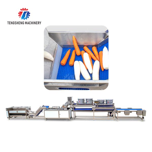 Quality Enhance Your Production with Our State-of-the-Art Fruit And Vegetable Processing for sale