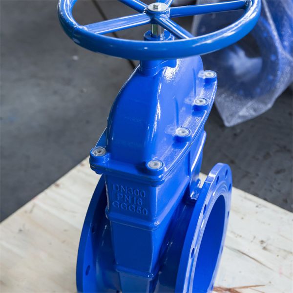 Quality QT450 Ductile Iron Gate Valve DN300 PN16 High Temperature Gate Valve for sale