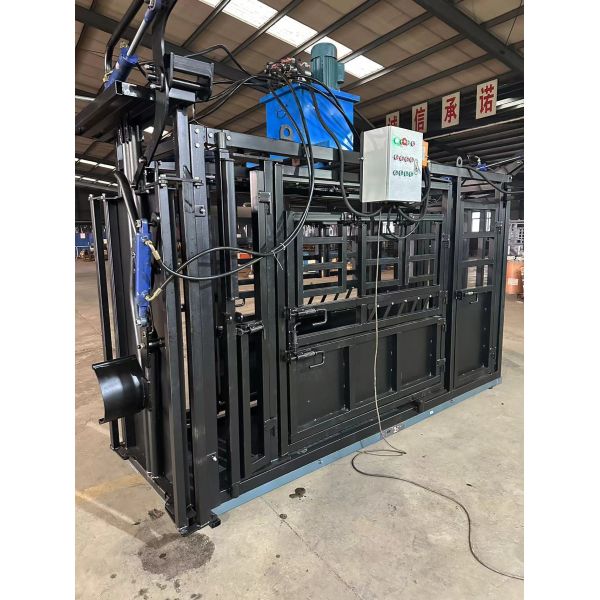 Quality Compact Design Cattle Crushing Machine Allowing Easy Installation and Space for sale