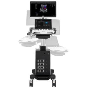 Quality 5D Trolley Sonoscape Echo Machine P11 Elite With 4 Transducer Connectors for sale