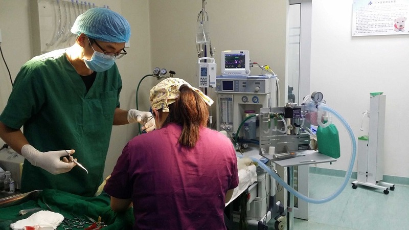 medical treatment anesthesia machine professional veterinary